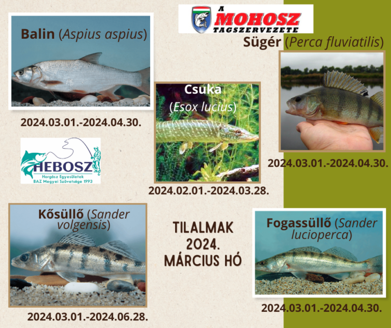 Tilalmak, 2024. március hó. | HEBOSZ